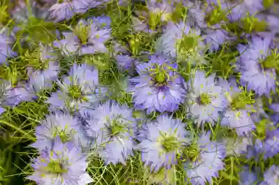 EPOS 젠하이저 GSP600 시리즈의 모든 장점 살펴보자 - 정보통